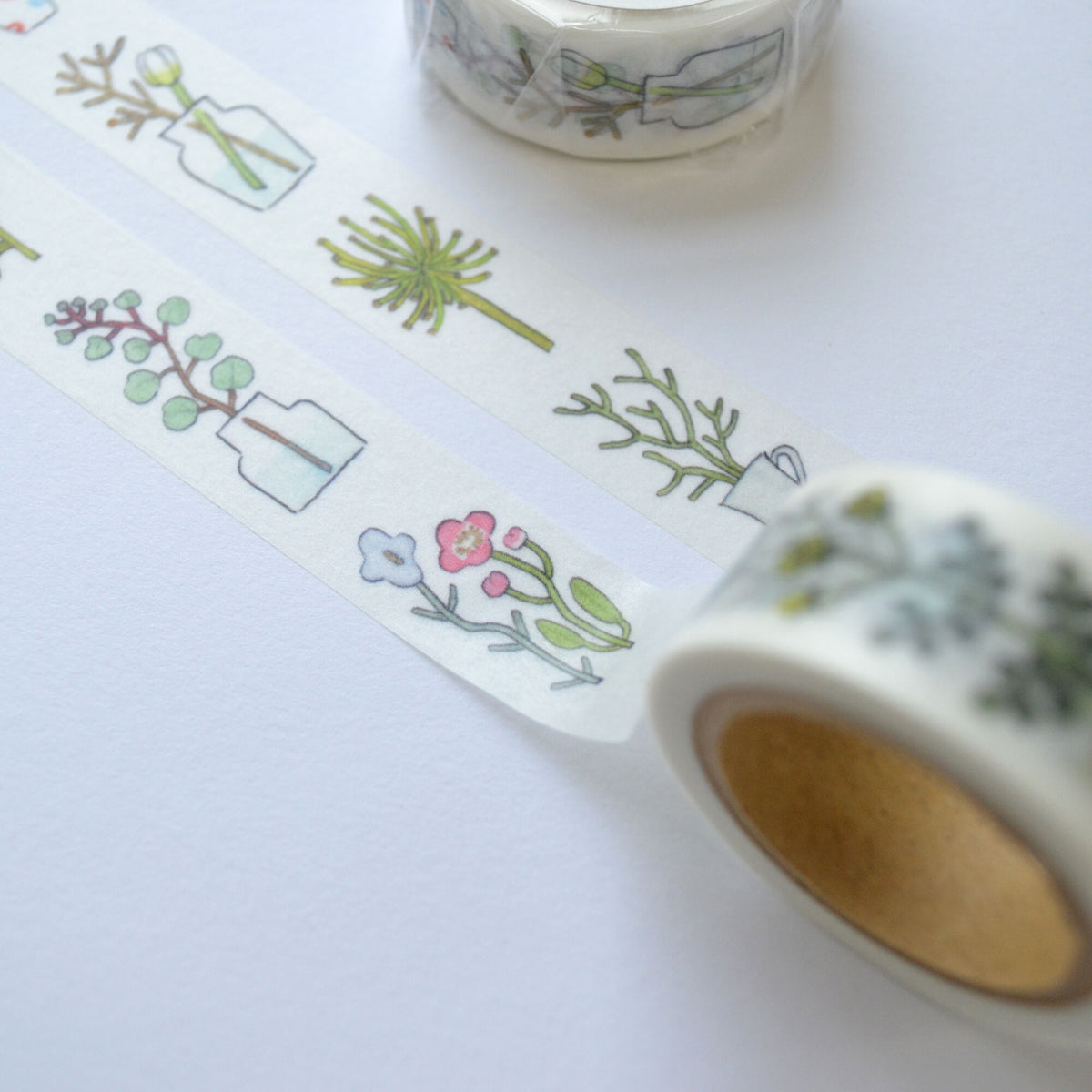 monokoto store masking tape - House plants [Yuko Kajikawa ] – petit zakkaya